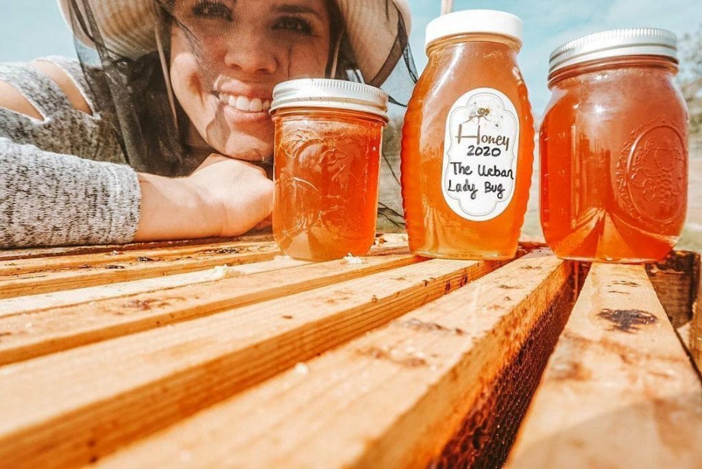 10 Ways to Help Pollinators: Save Bees, Butterflies & Beyond ...