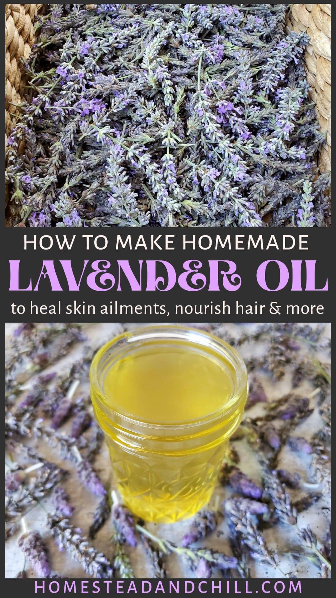 How to Make Homemade Lavender Oil: Easy Step-by-Step Guide ~ Homestead ...