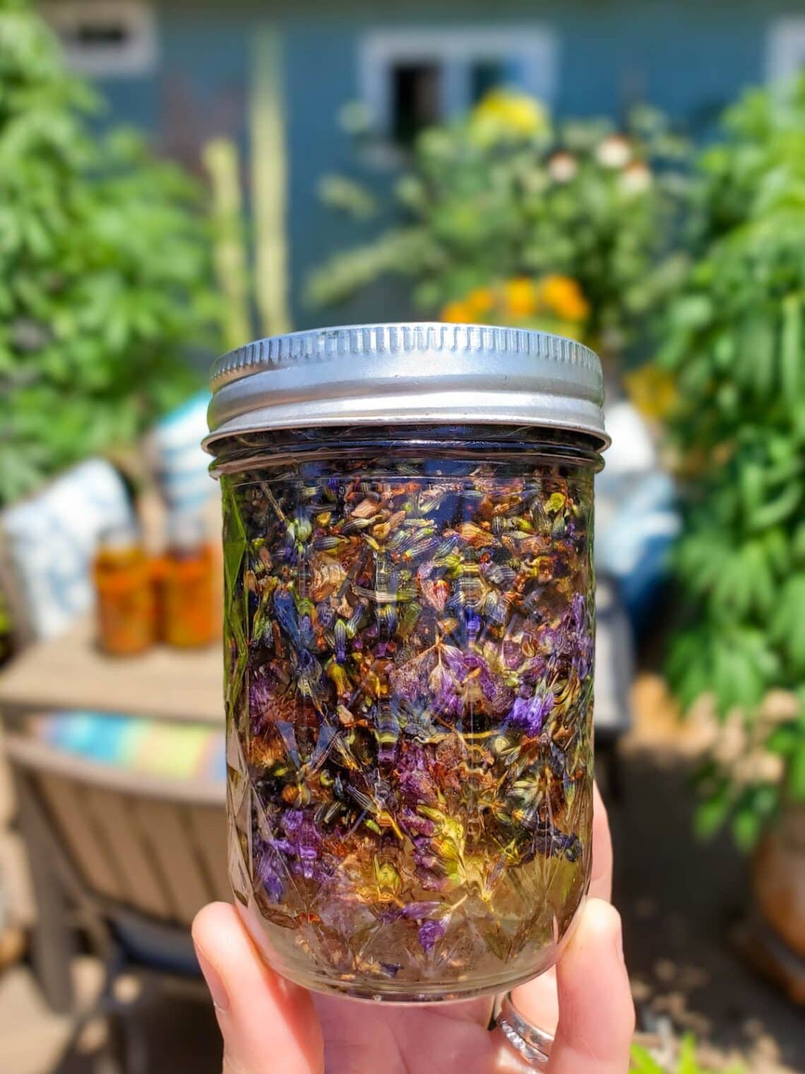 How to Make Homemade Lavender Oil: Easy Step-by-Step Guide ~ Homestead ...