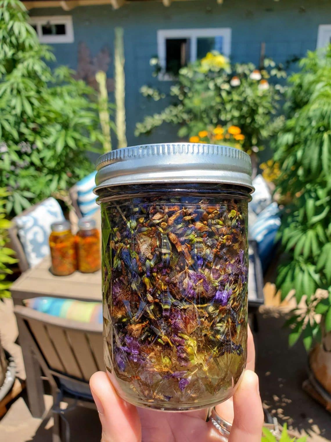 How to Make Homemade Lavender Oil & 9 Ways to Use It ~ Homestead and Chill