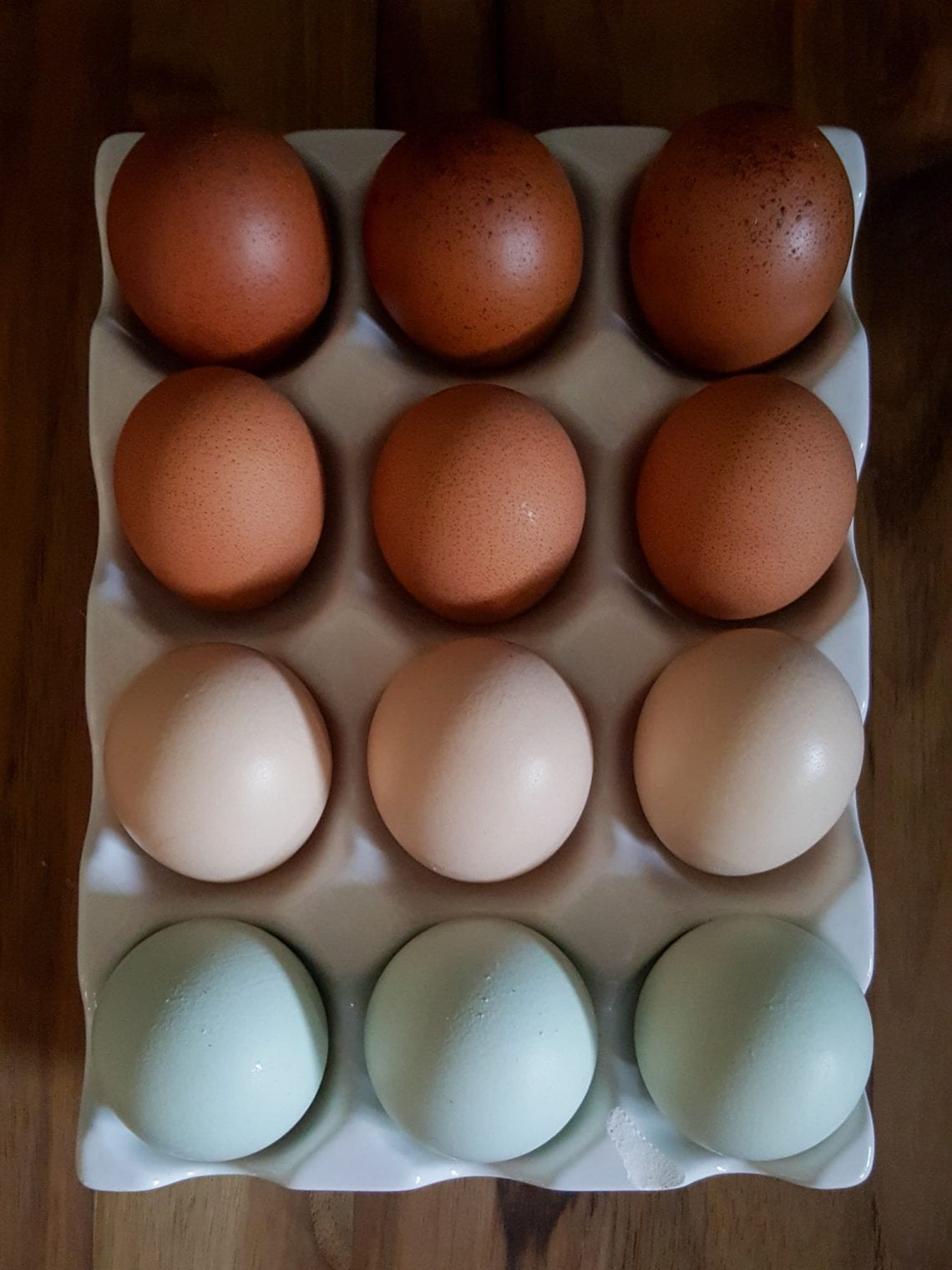 How to Store & Wash Fresh Eggs: Best Practices for Backyard Chicken ...