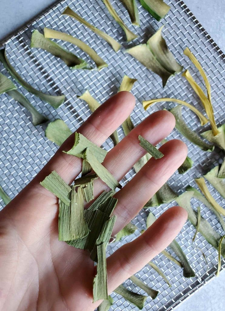 Use Leek Greens! Make Dried Leek Powder ~ Homestead and Chill