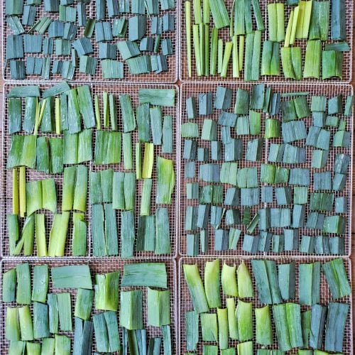Use Leek Greens! Make Dried Leek Powder ~ Homestead and Chill
