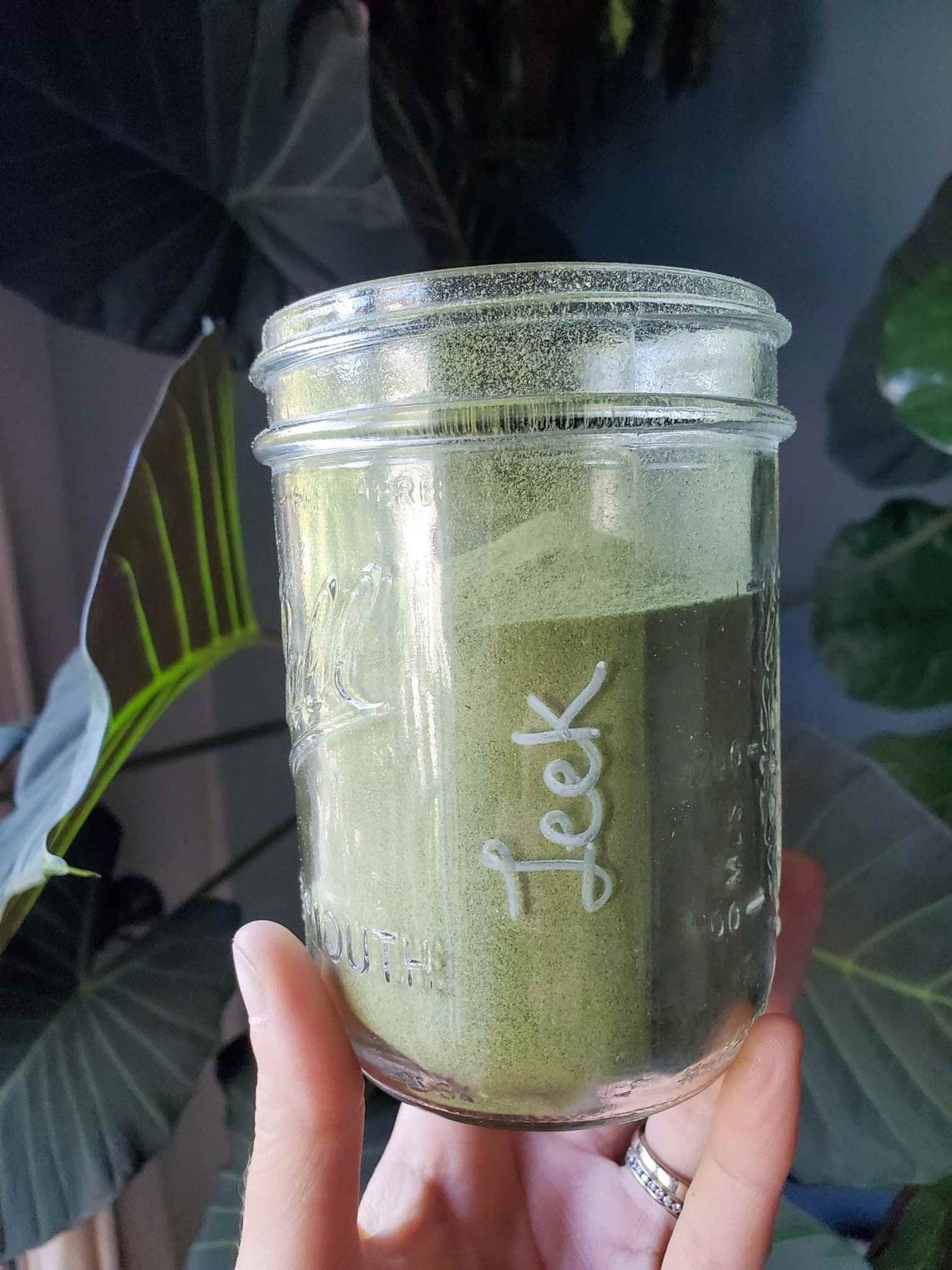 Use Leek Greens! Make Dried Leek Powder ~ Homestead and Chill