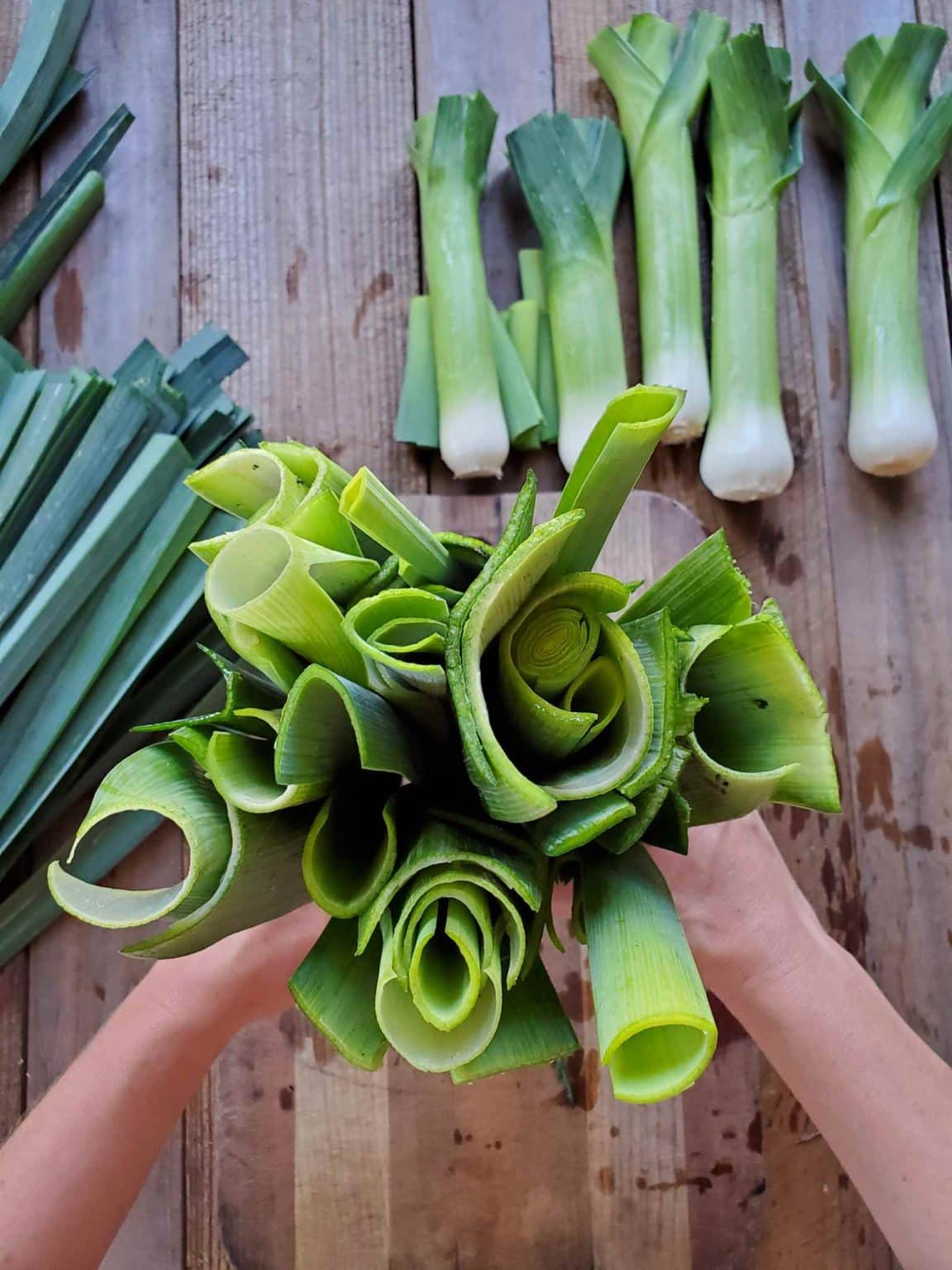 Use Leek Greens! Make Dried Leek Powder ~ Homestead and Chill