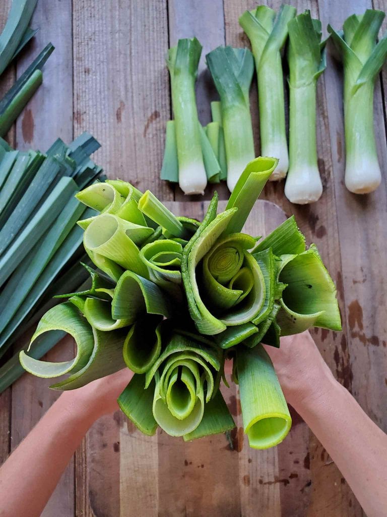 Use Leek Greens! Make Dried Leek Powder ~ Homestead and Chill