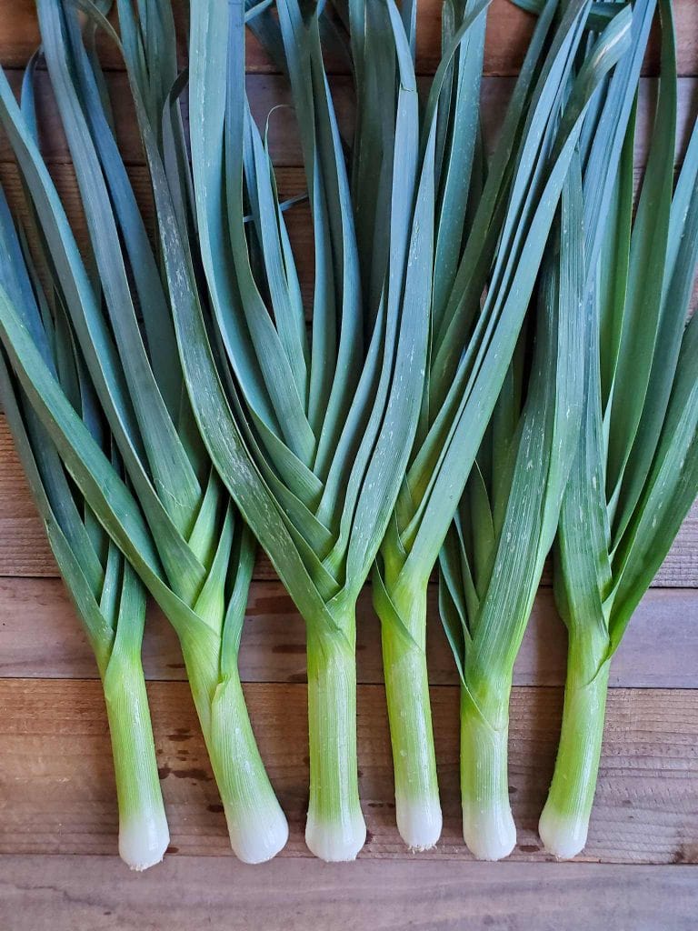 Use Leek Greens! Make Dried Leek Powder ~ Homestead and Chill