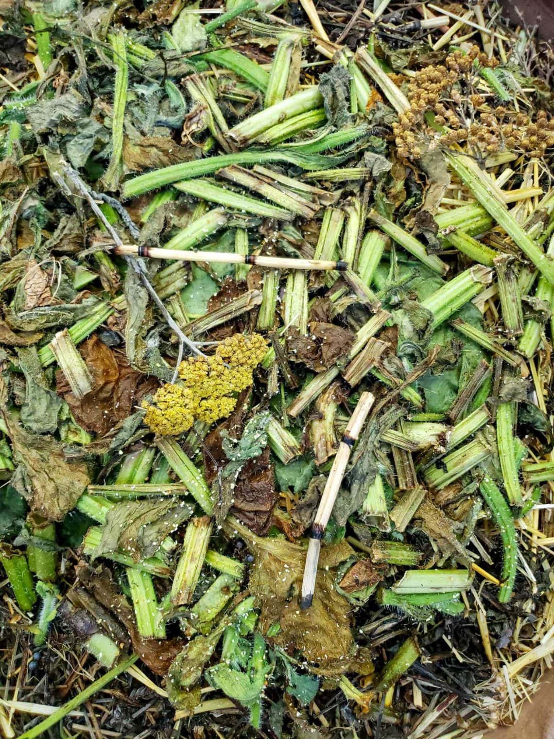 Mulching 101: When, Why & How to Mulch Your Garden ~ Homestead and Chill