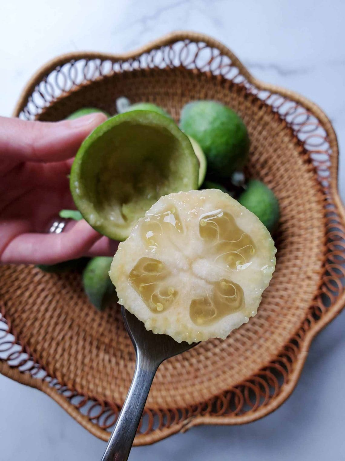 How to Grow Pineapple Guava (Feijoa): Cold-Hardy Tropical Fruit ...