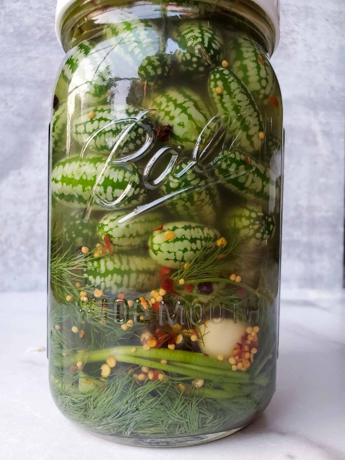 Pickled Cucamelons (Sour Gherkins): Easy Refrigerator Pickles ...