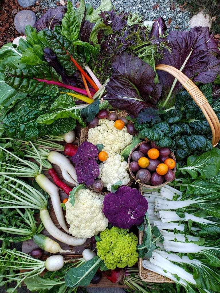 Gardening Glossary: Terms & Definitions Every Gardener Should Know ...