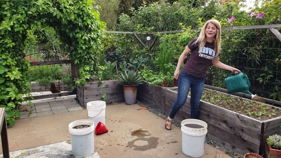 Gardening Glossary: Terms & Definitions Every Gardener Should Know ...