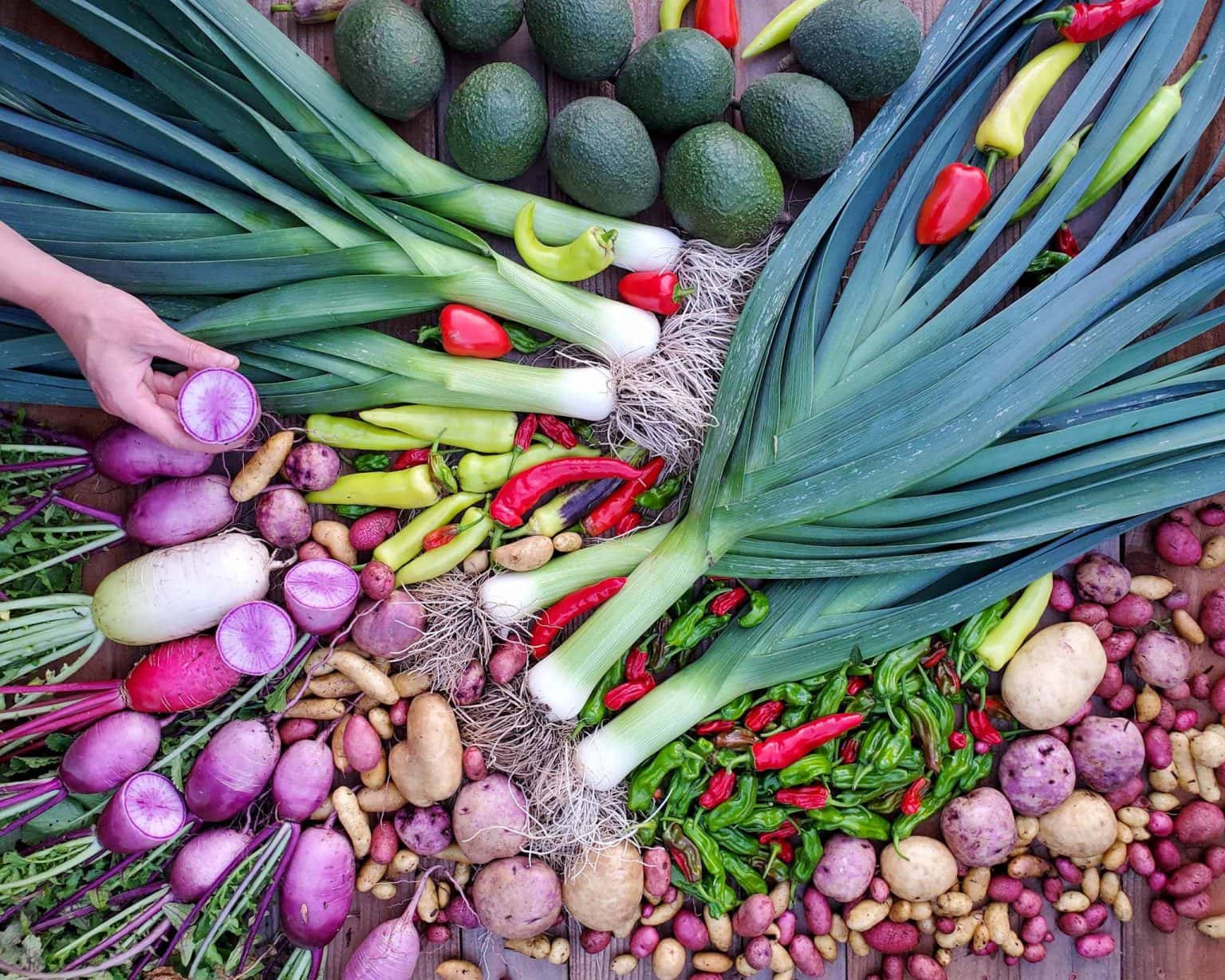 Gardening Glossary: Terms & Definitions Every Gardener Should Know ...