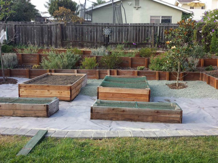 Non-Toxic Gopher Control: How to Gopher-Proof Your Garden ~ Homestead ...