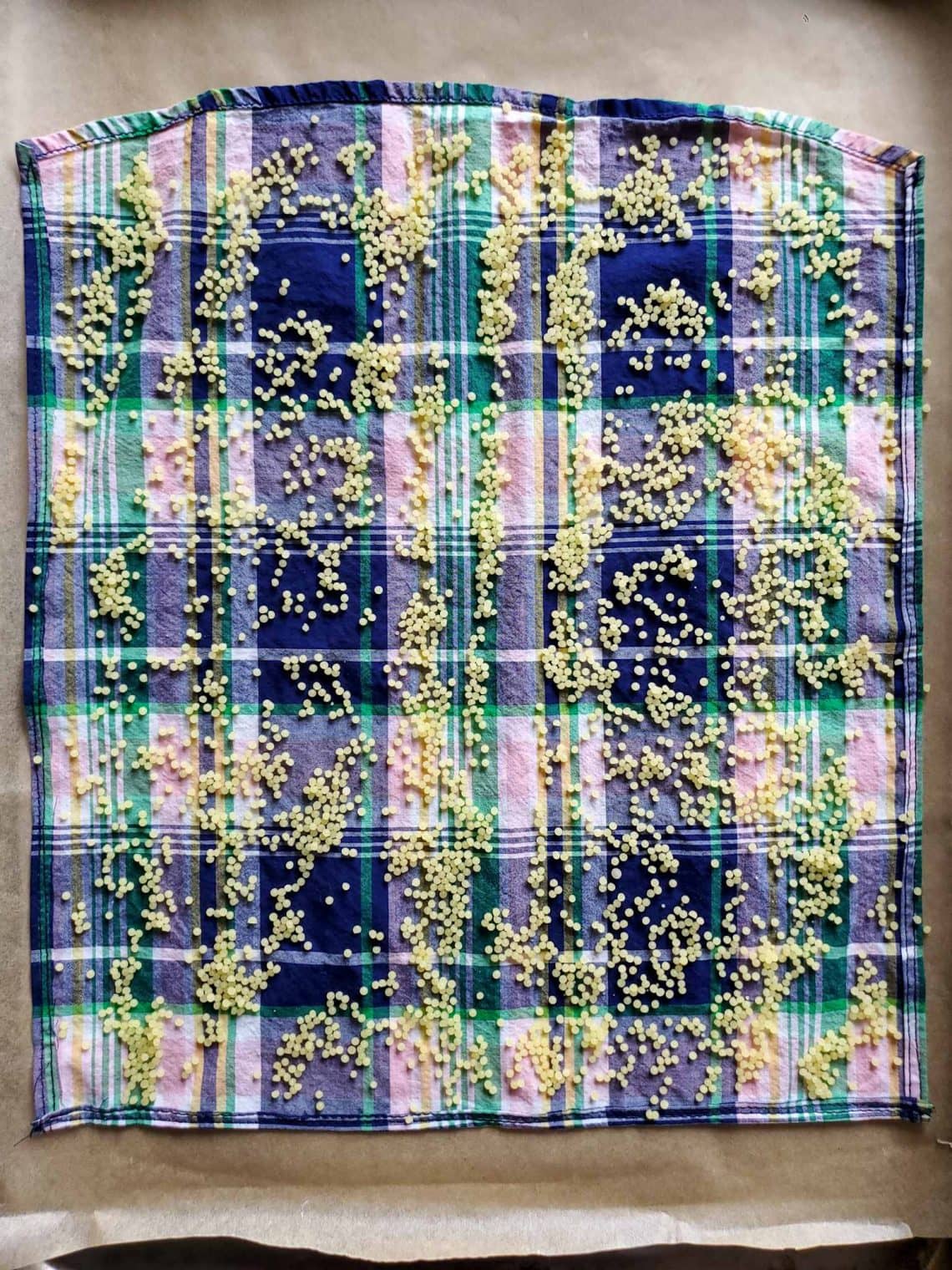 DIY: Easy Homemade Beeswax Wraps (Reusable Food Wraps) ~ Homestead and ...