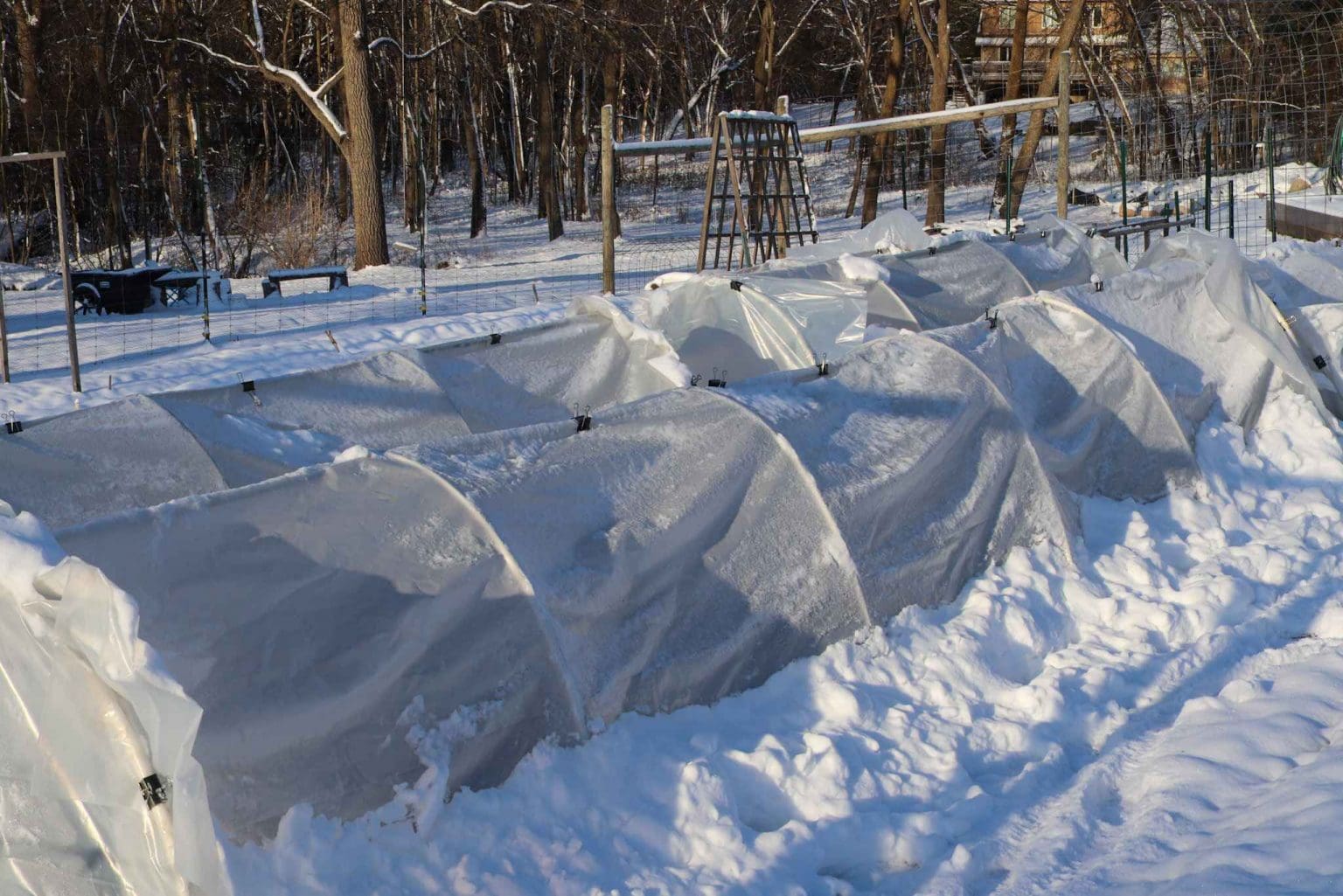 7 Ways to Protect Plants From Frost Damage ~ Homestead and Chill