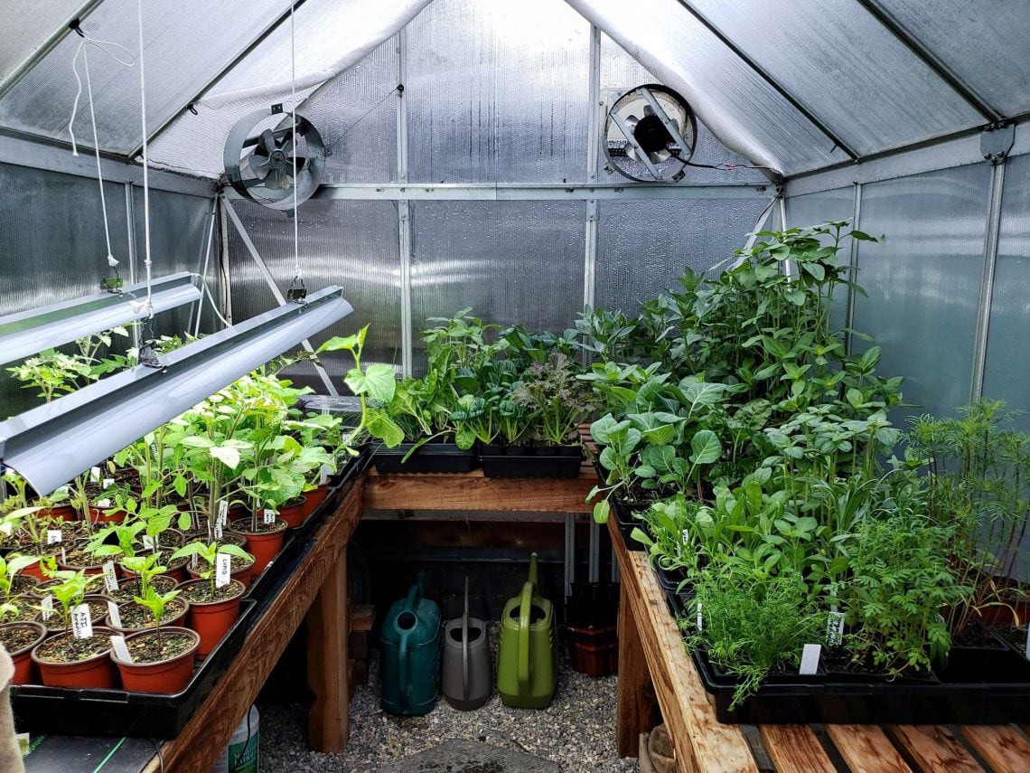 How to Build a Greenhouse Potting Bench or Table ~ Homestead and Chill