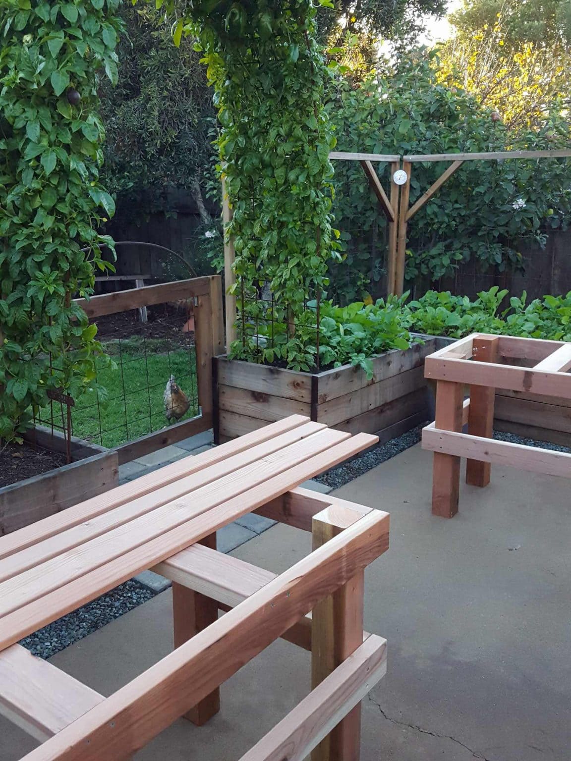 How to Build a Greenhouse Potting Bench or Table ~ Homestead and Chill