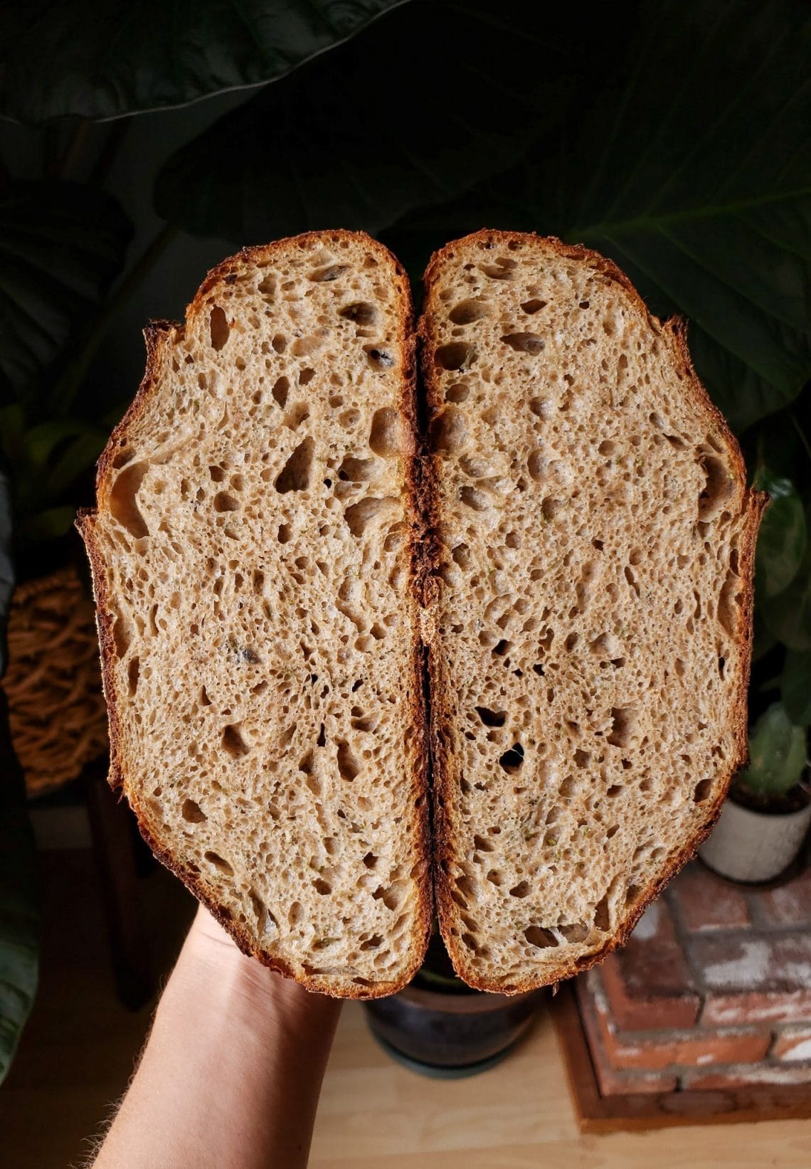 How to Make Sourdough Bread More Sour Tasting ~ Homestead and Chill