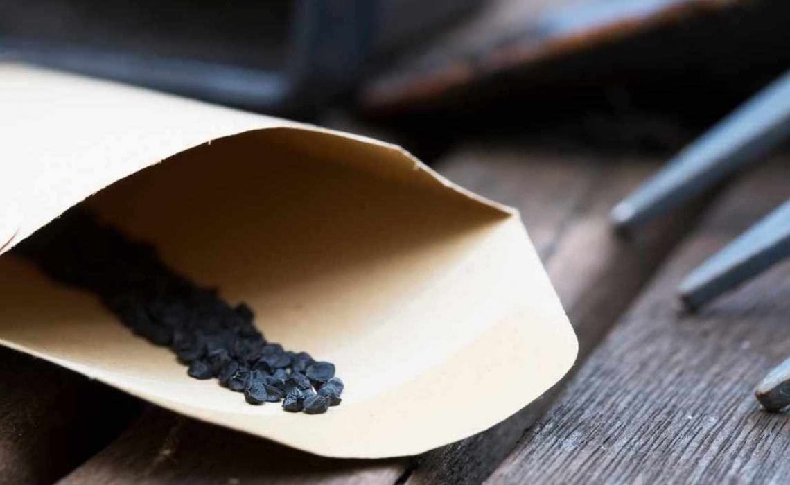 How to Plant and Grow Onions From Seed, Sets, or Seedlings ~ Homestead ...