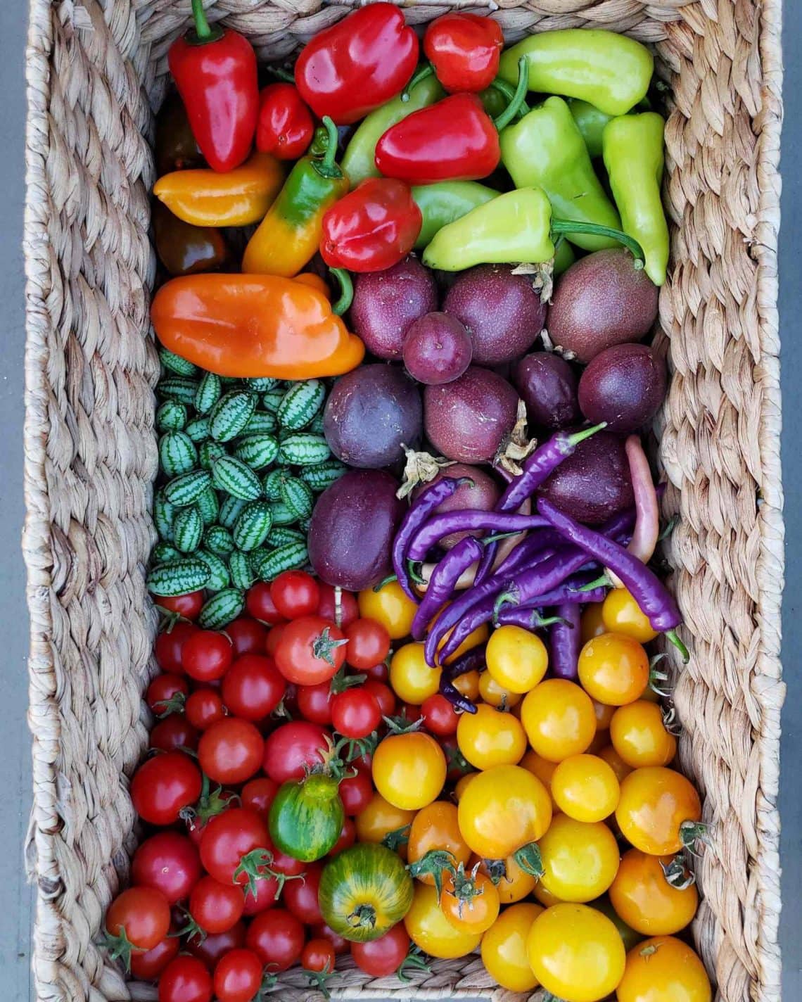 How to Grow Cucamelons: Mexican Sour Gherkins ~ Homestead and Chill