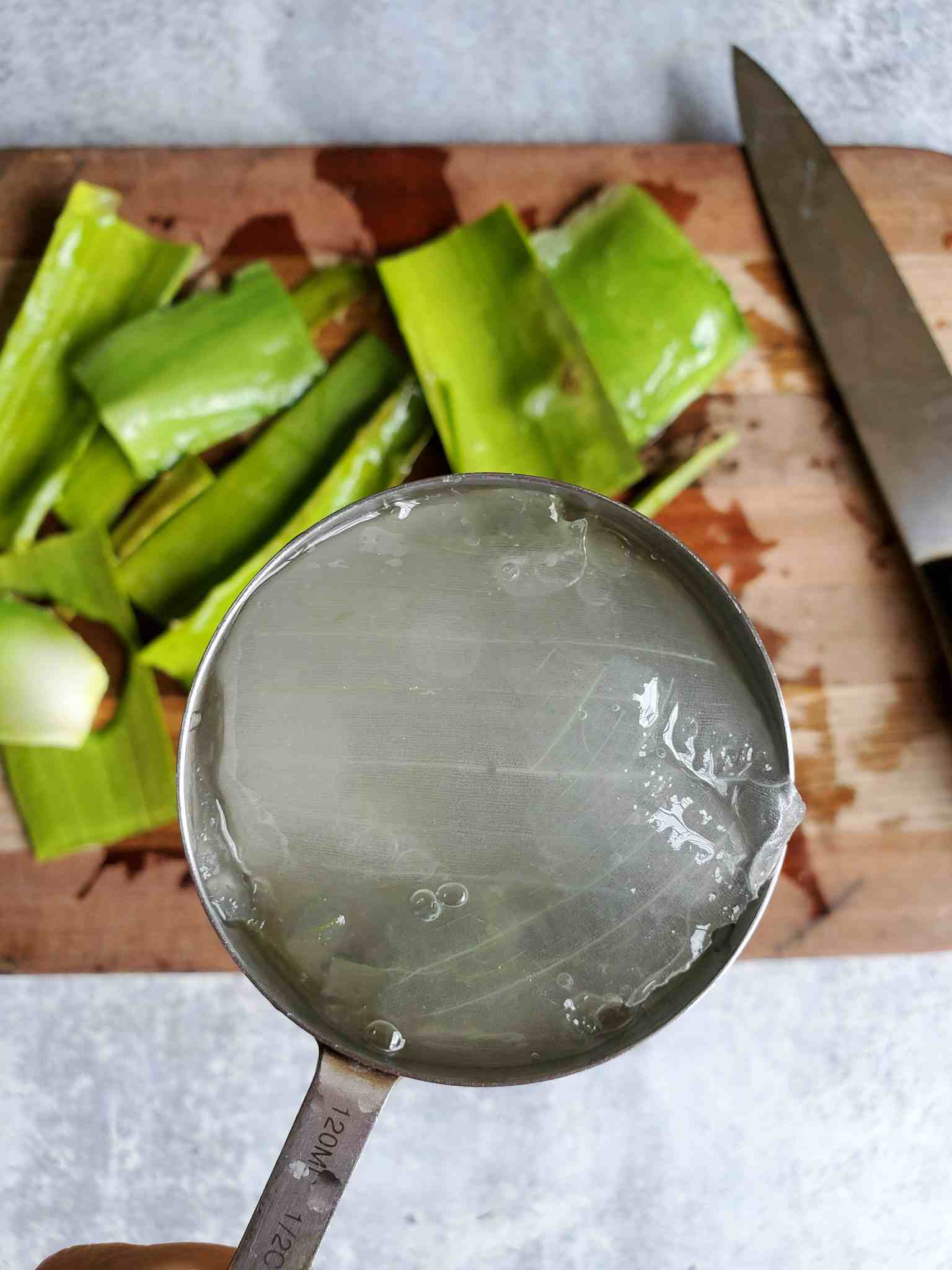 Homemade Fertilizer with Aloe Vera: Soil Drench or Foliar Spray ...