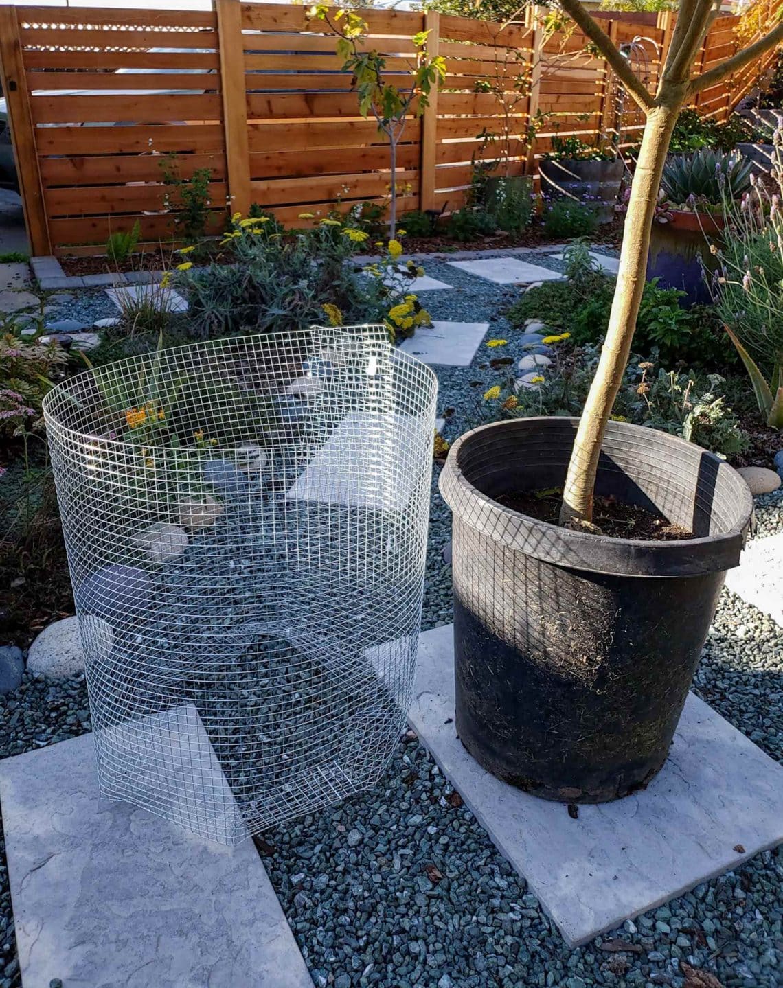 How to Make a Homemade Gopher Basket for Trees ~ Homestead and Chill