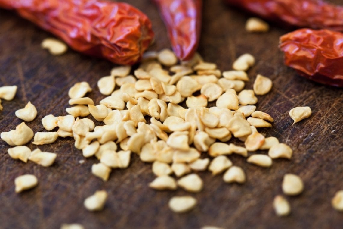How to Grow Peppers and Chilis: Seed to Harvest ~ Homestead and Chill
