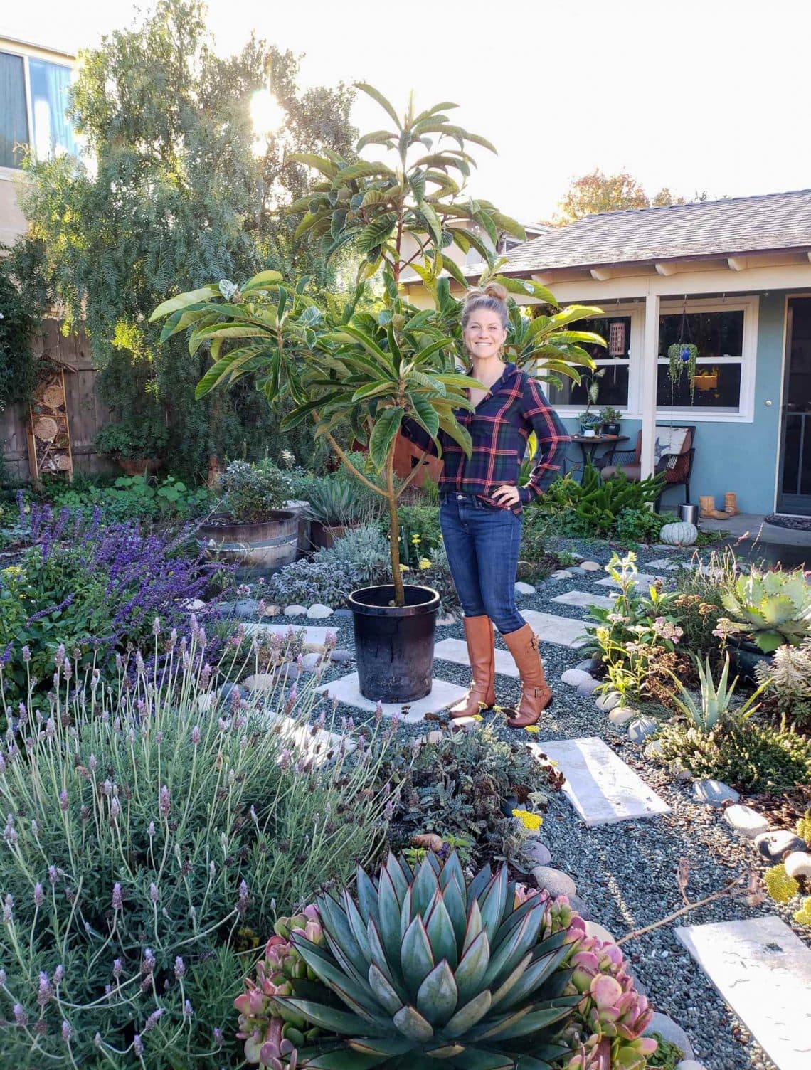 How to Make a Homemade Gopher Basket for Trees ~ Homestead and Chill