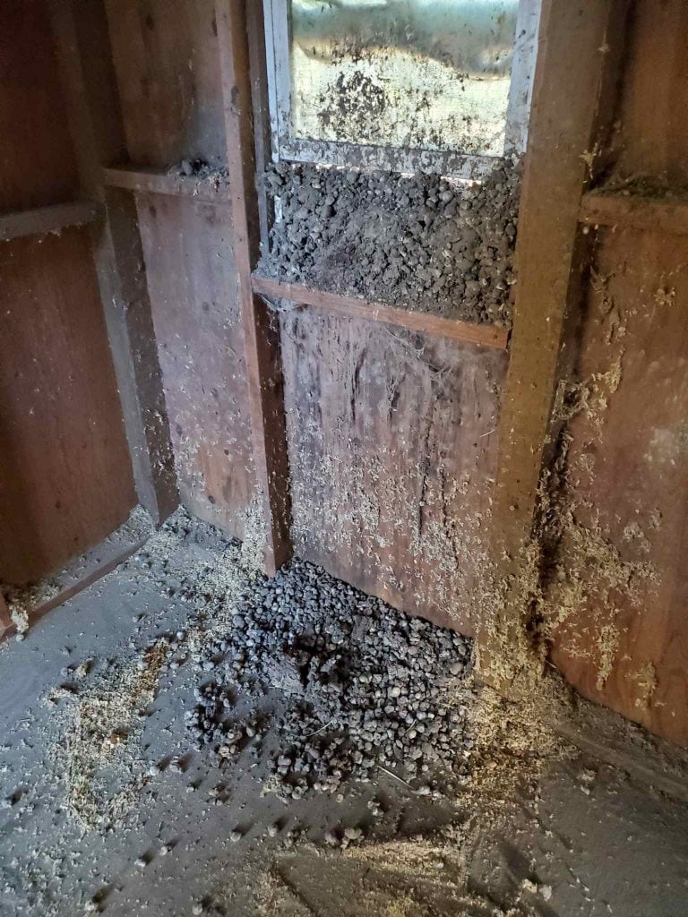 Homestead Update: Deep-Cleaning the Chicken Coop ~ Homestead and Chill