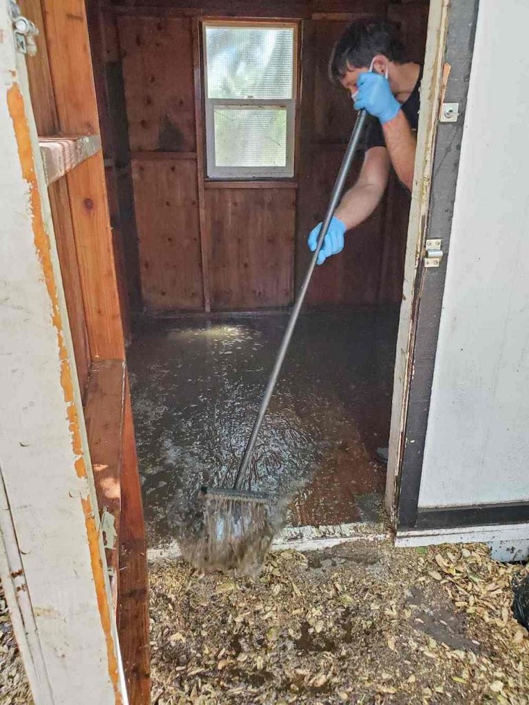 Homestead Update: Deep-Cleaning the Chicken Coop ~ Homestead and Chill