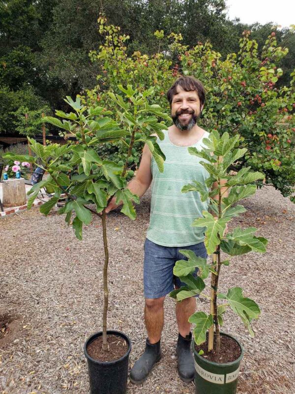 Homestead Update: Starting the New Garden ~ Homestead and Chill