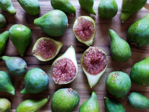 How to Grow Fig Trees: Varieties, Planting, Care & Harvesting ...