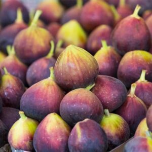 18 Fantastic Fig Tree Varieties to Grow at Home ~ Homestead and Chill
