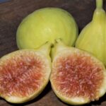 18 Fantastic Fig Tree Varieties to Grow at Home ~ Homestead and Chill