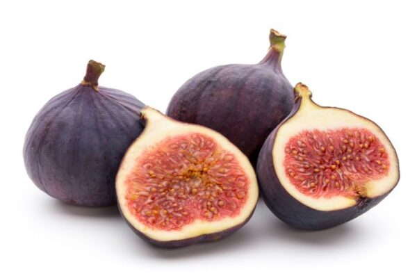 18 Fantastic Fig Tree Varieties to Grow at Home ~ Homestead and Chill