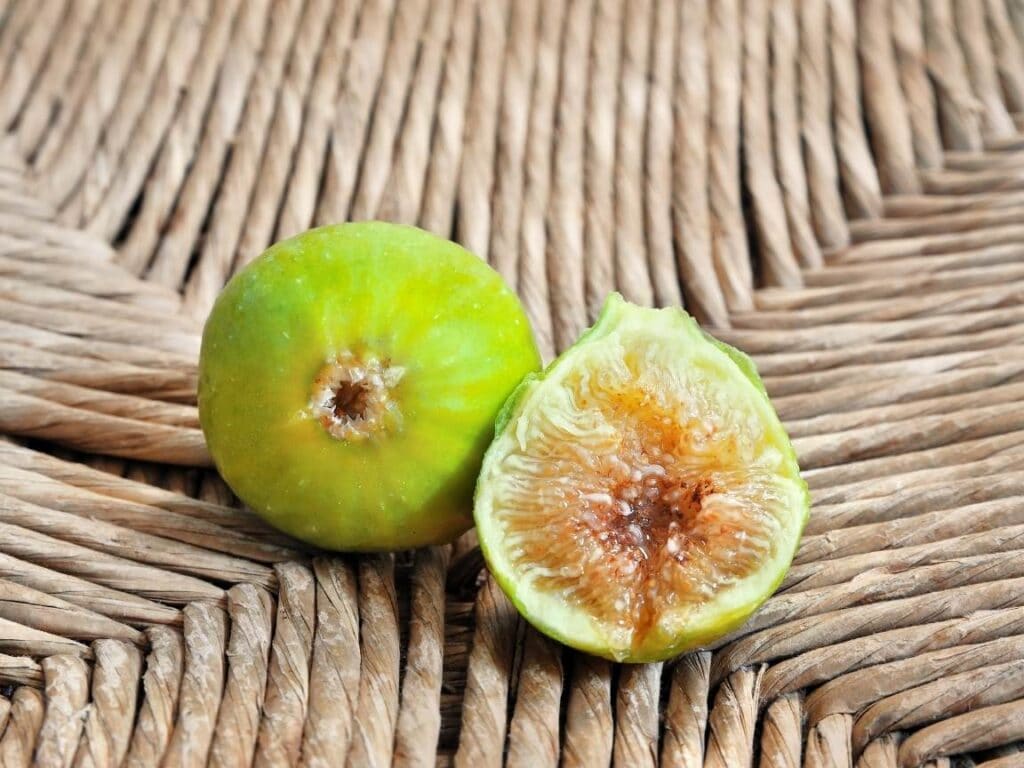 18 Fantastic Fig Tree Varieties to Grow at Home ~ Homestead and Chill