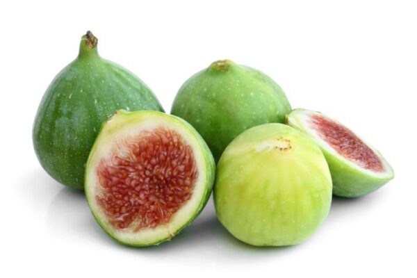 18 Fantastic Fig Tree Varieties to Grow at Home ~ Homestead and Chill