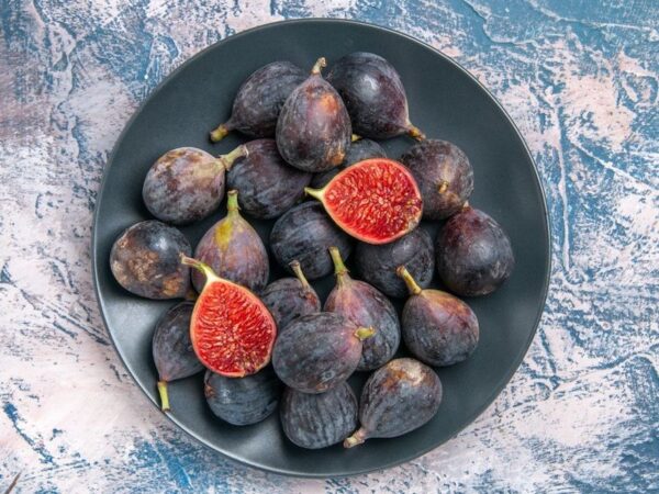 18 Fantastic Fig Tree Varieties to Grow at Home ~ Homestead and Chill