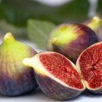 18 Fantastic Fig Tree Varieties to Grow at Home ~ Homestead and Chill