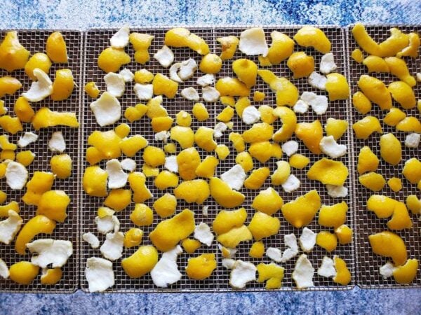 How to Make Dehydrated Lemon Powder + 13 Ways to Use It ~ Homestead and ...