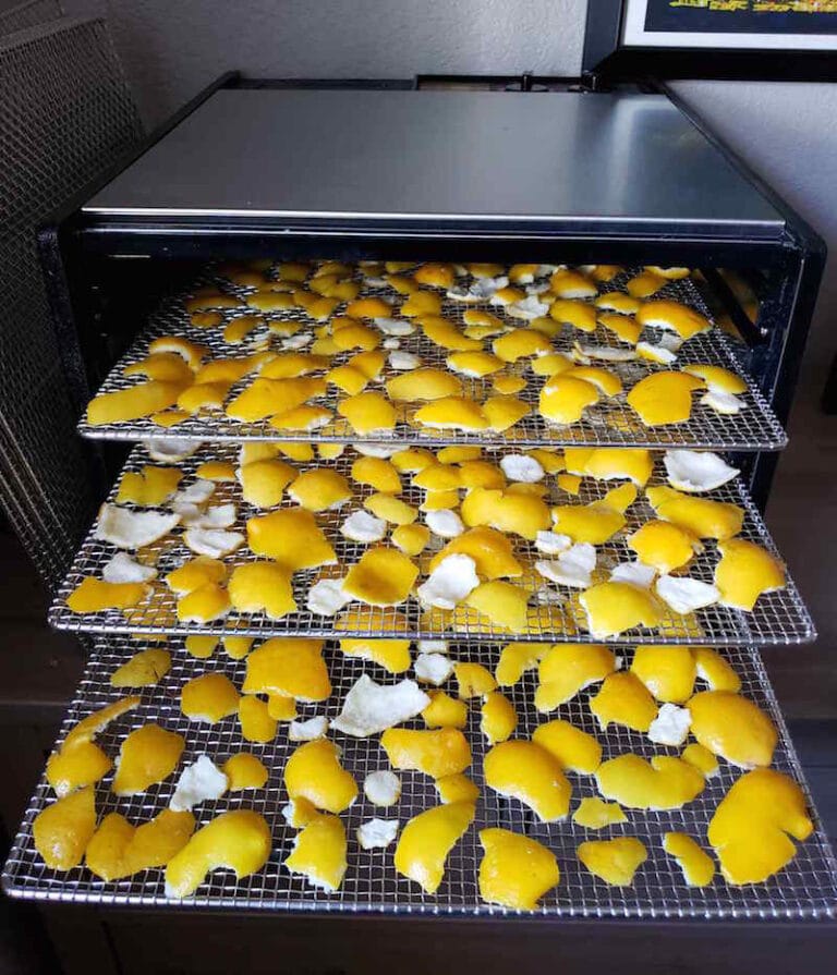 How to Make Dehydrated Lemon Powder + 13 Ways to Use It ~ Homestead and ...