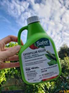 8 Organic Ways to Get Rid of Cabbage Worms & Cabbage Moths ~ Homestead ...