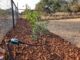 How to Connect Drip Irrigation to a Hose Bibb (Spigot or Faucet ...