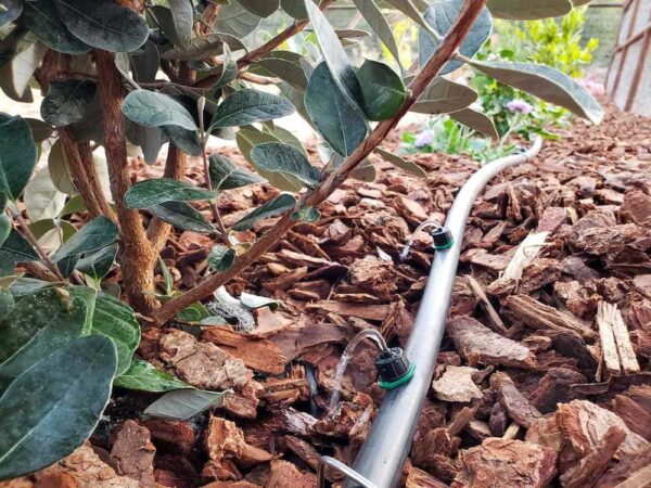 How to Connect Drip Irrigation to a Hose Bibb (Spigot or Faucet) ~ Homestead and Chill