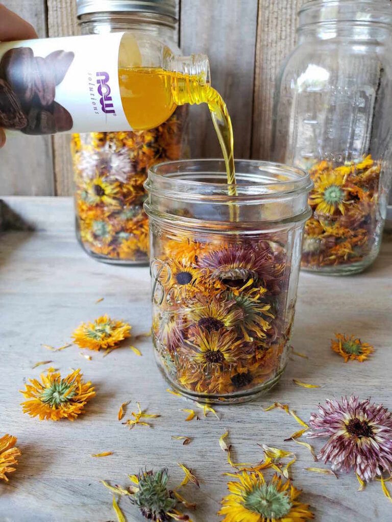 How to Make Calendula Oil, Plus 8 Ways to Use it! ~ Homestead and Chill