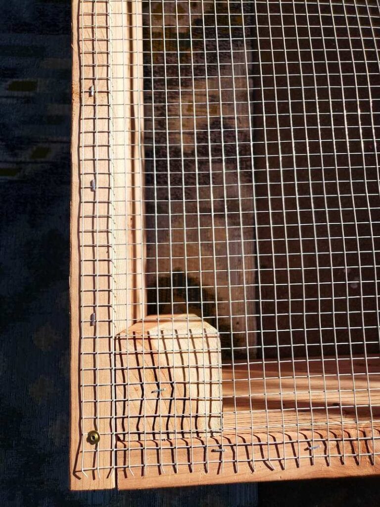 Non-Toxic Gopher Control: How to Keep Gophers Out of Your Garden ...