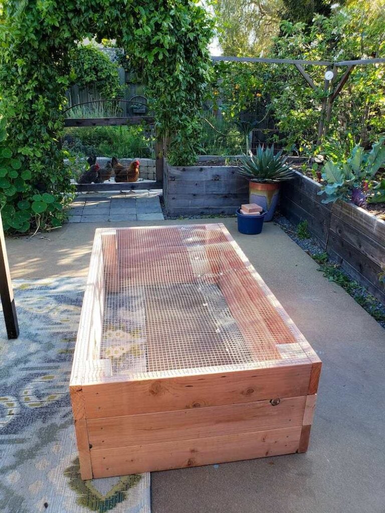 Non-Toxic Gopher Control: How to Keep Gophers Out of Your Garden ...