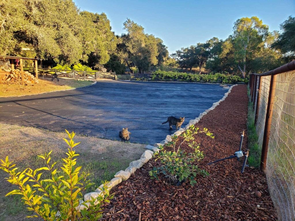 Homestead Update: Starting the New Garden ~ Homestead and Chill