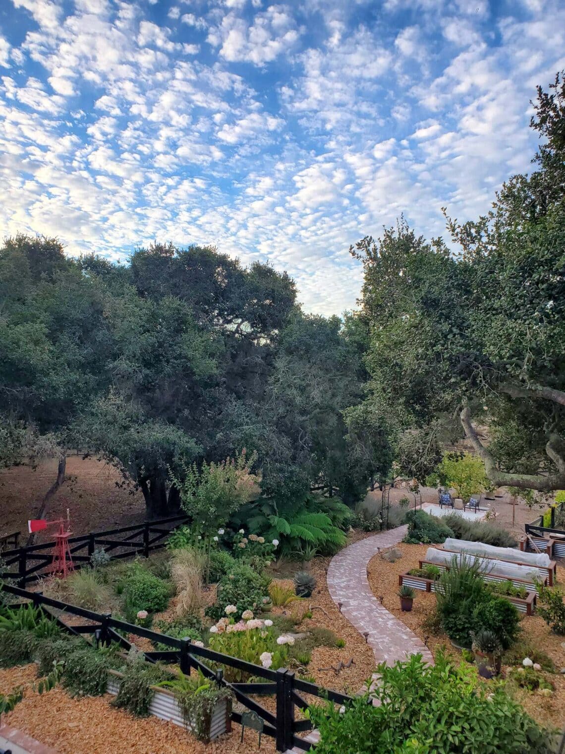 Homestead Update: Starting the New Garden ~ Homestead and Chill